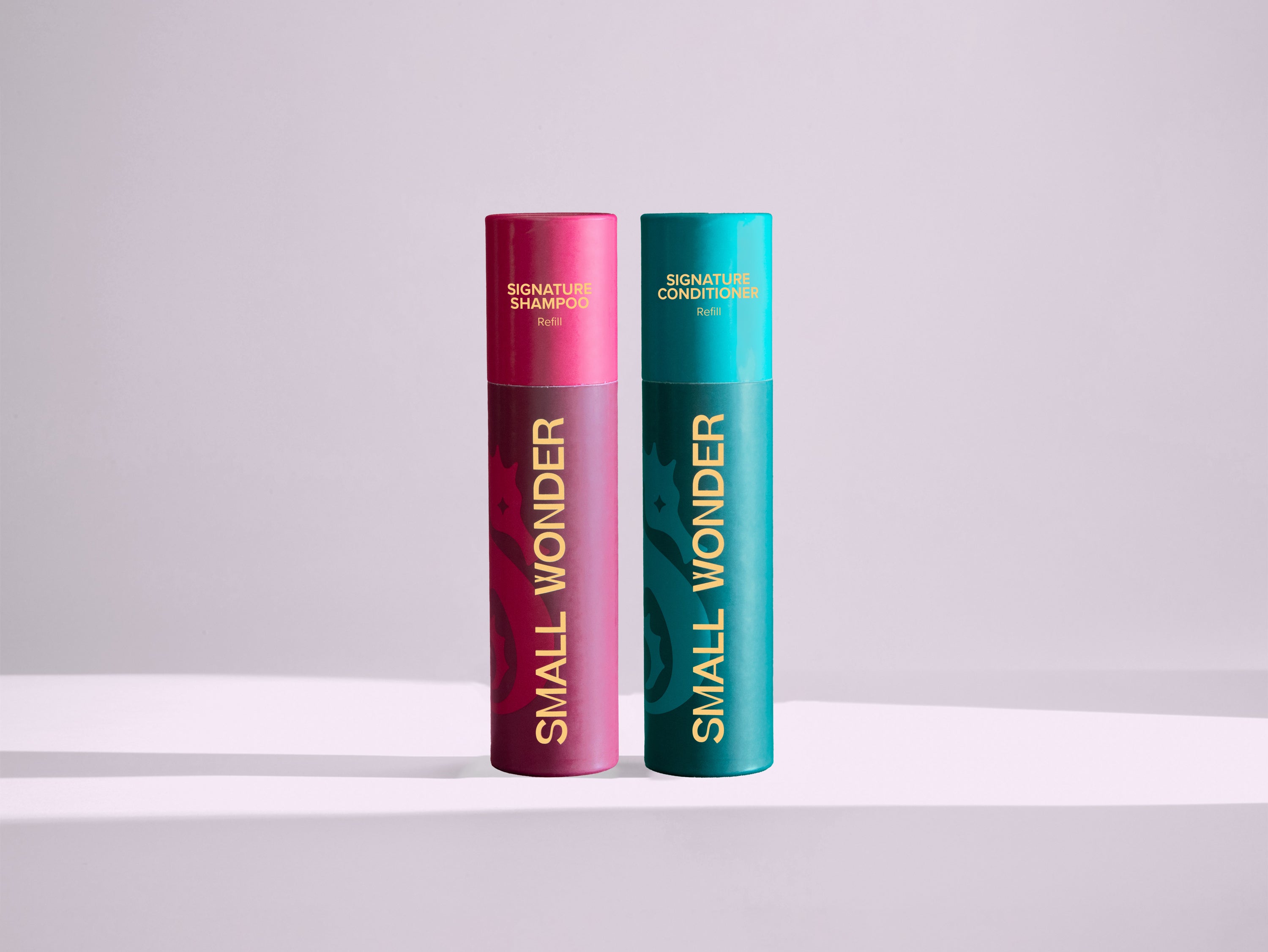 Conditioner – Small Wonder